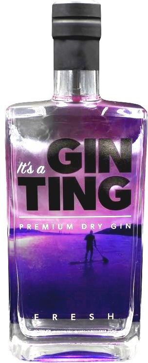 Gin Ting Premium Dry Gin 70cl – Distillers Direct